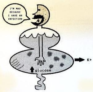 Mark Klimek Lectures 1 To 12 Nursing Notes – 1 File Download